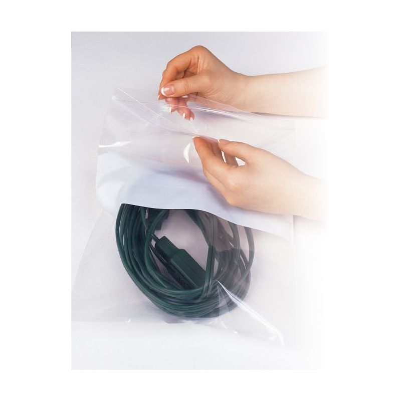 LK Packaging Recloseable Polyethlene Bag, 2 Mil, 10 x 13 - F21013